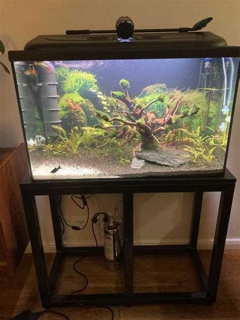 Akwarium 160 l z pelnym wyposażeniem / stelażem Nowa Iwiczna • OLX.pl