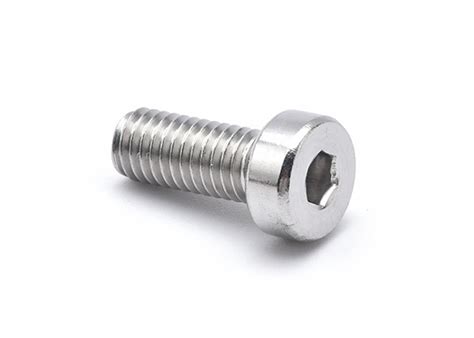 304 Cylinder Low Head Screw Xintegu