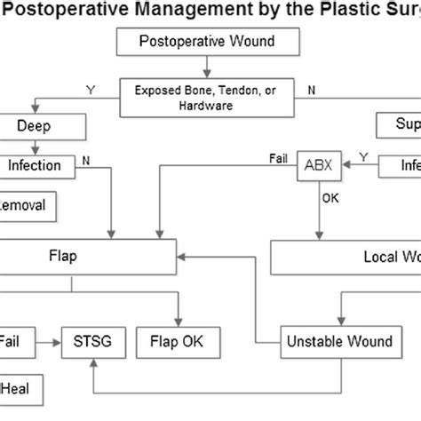 Our Algorithm For Postoperative Wound Management By The Plastic Surgeon Download Scientific