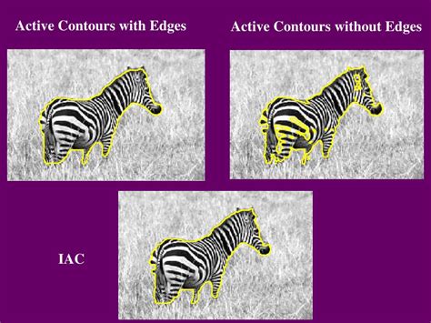 Ppt Integrated Active Contours For Texture Segmentation Powerpoint