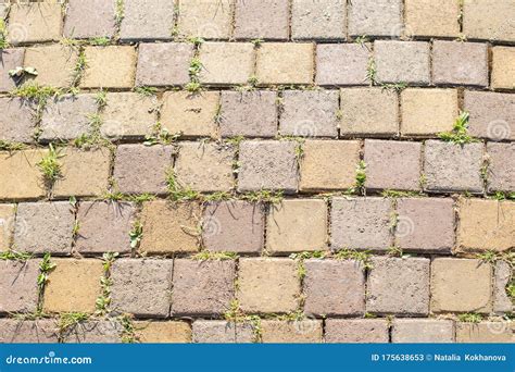 Pavers Background With Sprouted Grass Stock Image Image Of Road