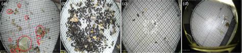 Insect Detection From Imagery Using Yolov3 Based Adaptive Feature