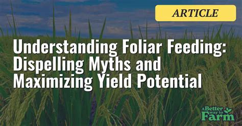 Understanding Foliar Feeding Dispelling Myths And Maximizing Yield Potential