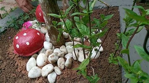 හිතේ සතුට වෙනුවෙන් මං කරපු පුංචි දේවල්💗🌞🥰💖🌿 Youtube