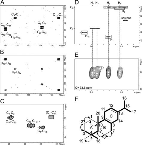 Two Dimensional And Three Dimensional Nmr Experiments Revealed Download Scientific Diagram