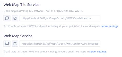 Control MapTiler Server Via API MapTiler