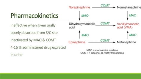 Catecholamines And Noncatecholamines Pptx Endocrine And Metabolic