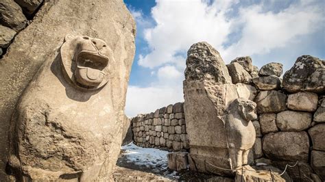 3 200 Year Old Trees Reveal The Collapse Of An Ancient Empire Old
