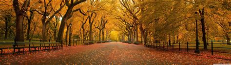 329 Wallpapers Top Free 329 Backgrounds Wallpaperaccess