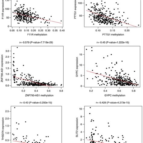 Correlation Between The Expression Levels Of Selective Genes And The