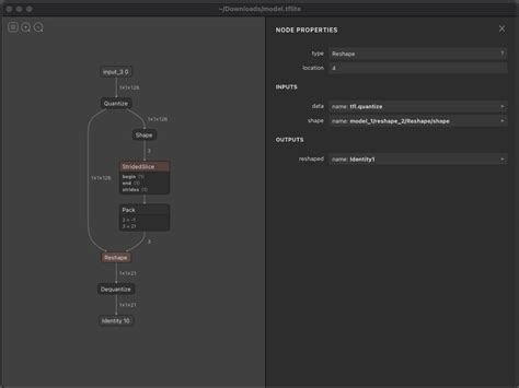 Reshape Conversion Produces Invalid Output Shape If One Dim Is 1