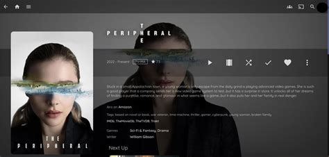 How To Adjust Css Issue On Webos Rjellyfin