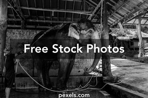 Background Less Ps 5 Photos Photos Download The Best Free Background Less Ps 5 Photos Stock