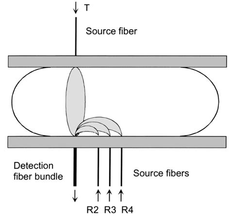 Spectroscopic Time Resolved Diffuse Reflectance And Transmittance Measurements Of The Female
