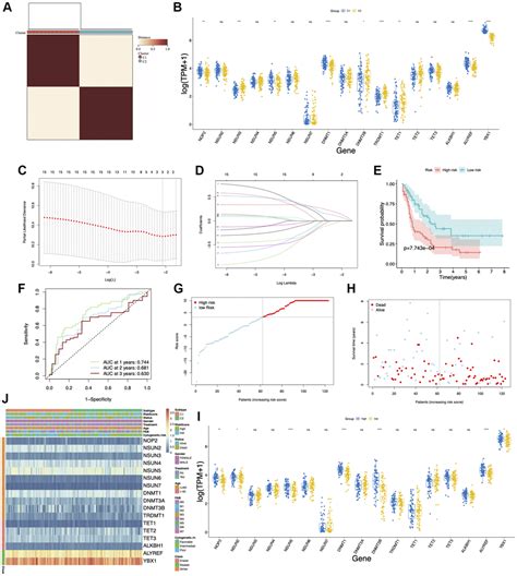 5 Methylcytosine Rna Modification Regulators Based Patterns And Features Of Immune