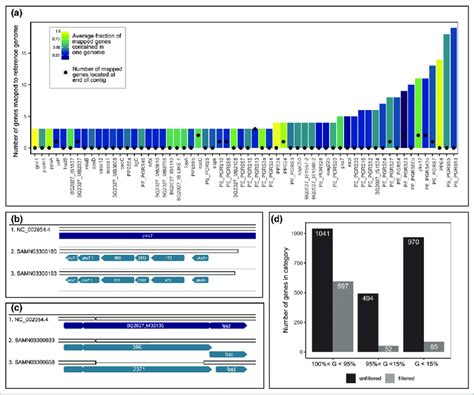 Accessory Gene Labels Are Created Through Redundant Gene Annotation A Download Scientific