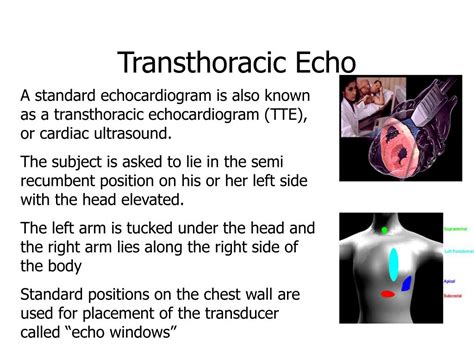 Ppt Introduction To Echocardiography Cardiac Ultrasound Powerpoint