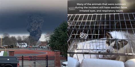 Ohio Train Derailment Sparks Fears Of An Ecological Disaster Yourtango