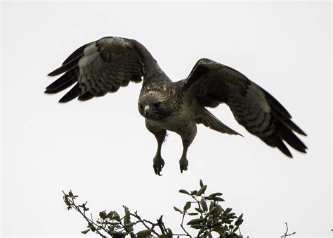 Tutorial Photoshop Sky Replacement Ai Ucsd Photography Interest Group