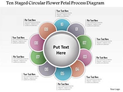 Flower Diagram Slide Team