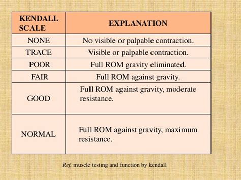 Manual Muscle Testing Mmt