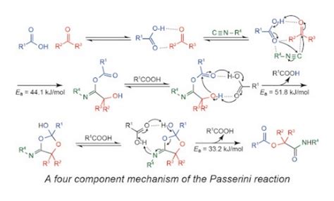 Research 北海道大学理化学研究院化学部門 理論化学研究室webサイト