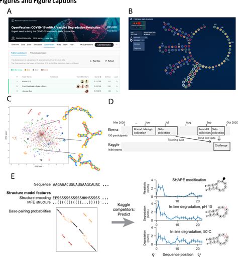 Figure 1 From Predictive Models Of Rna Degradation Through Dual Crowdsourcing Semantic Scholar