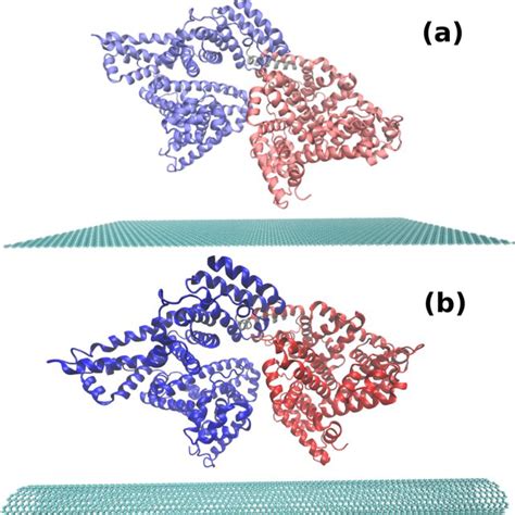 Atomic Configurations Of The Bsa Cbn System Before And After Md