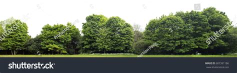 11 228 Treeline Images Stock Photos Vectors Shutterstock