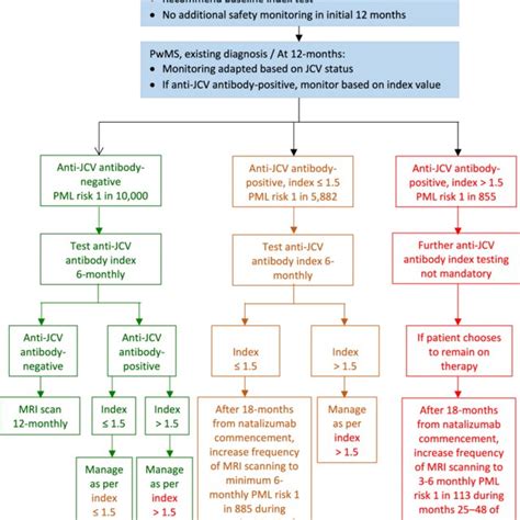 Algorithm For Mri Based Pml Safety Monitoring During Natalizumab