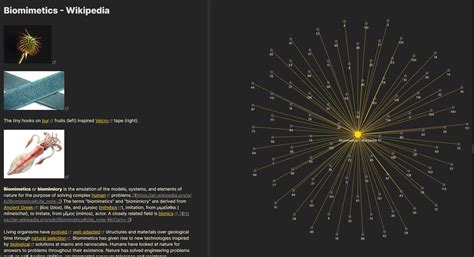 Best Approach For Downloading Wikipedia Articles Help Obsidian Forum