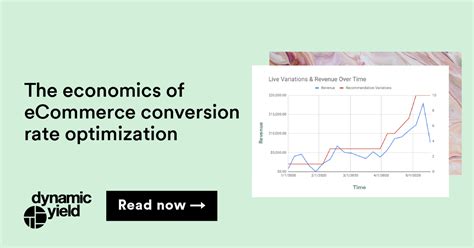 The Economics Of Ecommerce Conversion Optimization