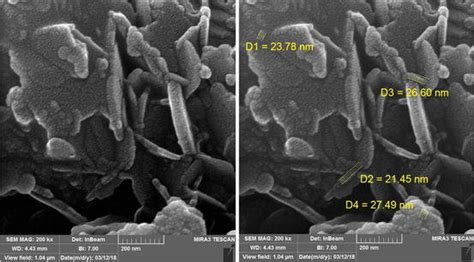 sem of [fe3o4 sio2 pr dabco so3h]cl2 download scientific diagram