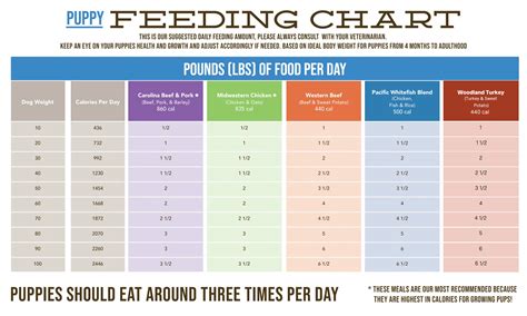 Feeding Chart Ricks Dog Deli