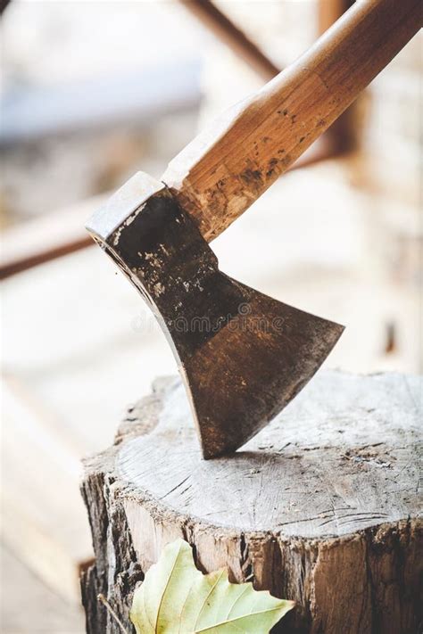Hatchet Sticking In Stump Close Up Stock Image Image Of Flushing Tool