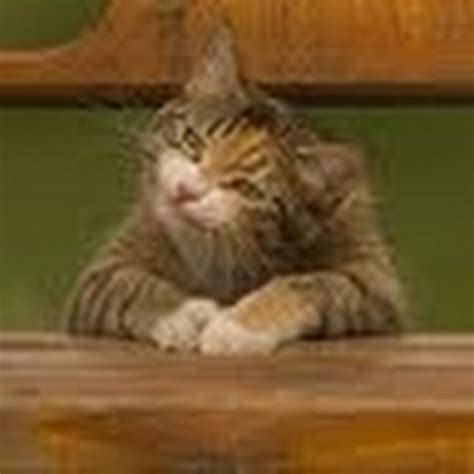 Alexander Grachev Youtube