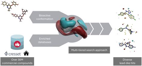 识别新化学类型的虚拟筛选策略