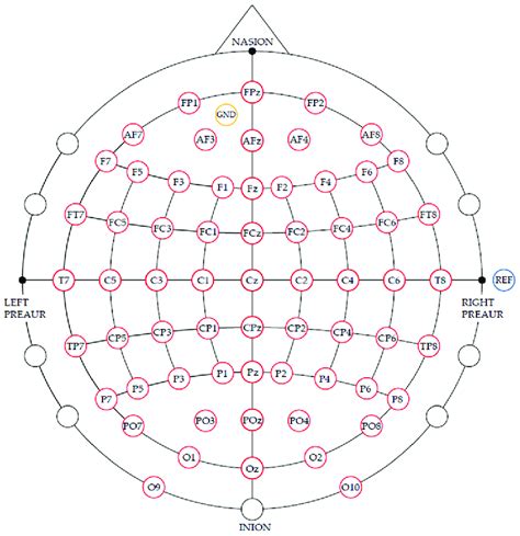 64 Eeg Electrodes Placed On The Scalp According To The 10 10 Download Scientific Diagram