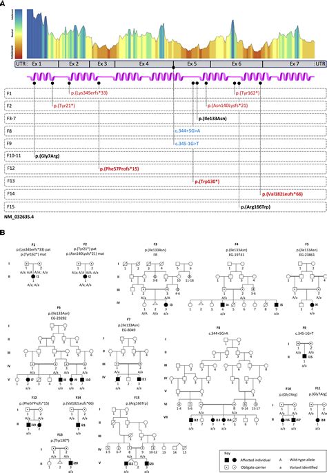 Bi Allelic Loss Of Function Variants In Tmem147 Cause Moderate To Profound Intellectual