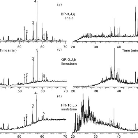 Mass Chromatogram M Z 217 And M Z 191 Of Saturated Hydrocarbons Of Download Scientific