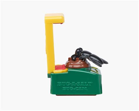 Bug A Salt Bug Cam Bug A Salt Australia