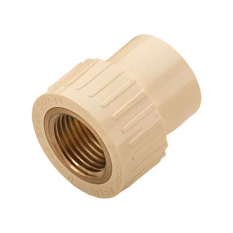 Cpvc Brass Reduce Fta At ₹ 15piece In Rajkot Id 2850457356012