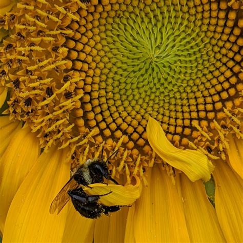 Differential Equations Youtube