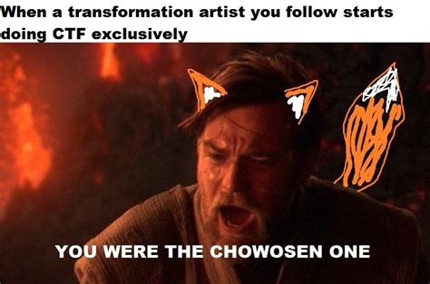 Transformation Irl R Furry Irl