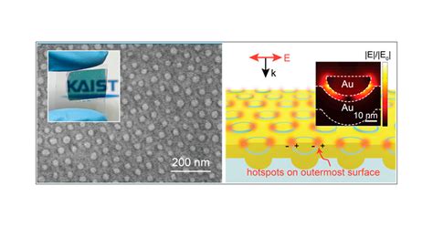 Self Assembled Nanolotus Pod Metasurface For Light Trapping Acs Photonics