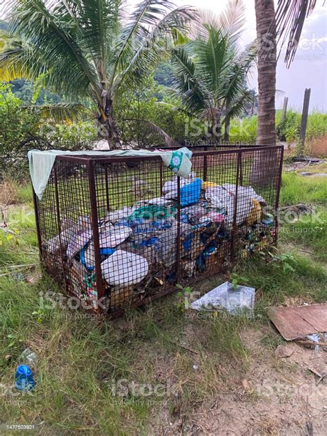 지나가는 사람들 쓰레기 수거 야자수에서 쓰레기를 수거하는 데 사용되는 쓰레기 케이지의 클로즈업 이미지 0명에 대한 스톡 사진 및 기타 이미지 Istock