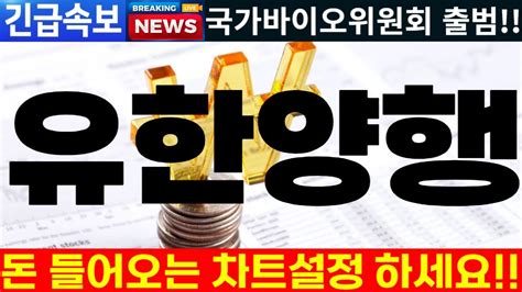 유한양행 분석 나만 알고 있었는데차트설정 이대로만 해보세요 돈 들어옴 유한양행차트분석 유한양행전략 박셀바이오관련주 Youtube