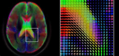 Apple Ar Arkit And Machine Learning Come Together Making Smarter