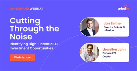 Cutting Through The Noise Identifying High Potential AI Investment Opportunities