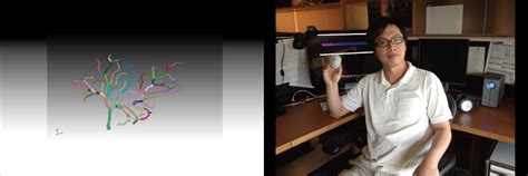 Dendrite Branchhome Okinawa Institute Of Science And Technology Oist